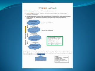Ναυαγια | PPT