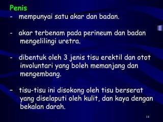 3.1 struktur & fungsi reproduktif lelaki | PPT