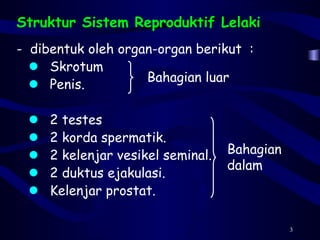3.1 struktur & fungsi reproduktif lelaki | PPT