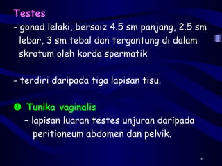 3.1 struktur & fungsi reproduktif lelaki | PPT