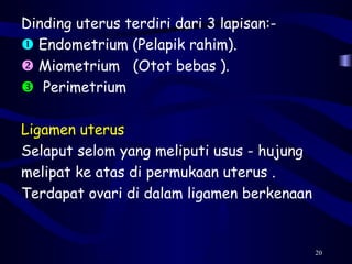 3.2 struktur & fungsi reproduktif wanita | PPT
