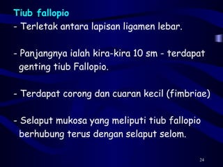 3.2 struktur & fungsi reproduktif wanita | PPT