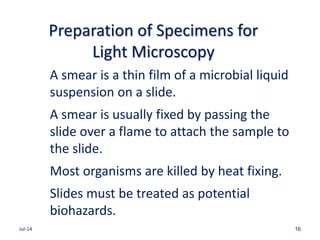 Microscopy for Microbiology: A Primer | PPTX