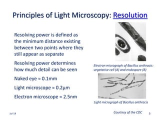 Microscopy for Microbiology: A Primer | PPTX