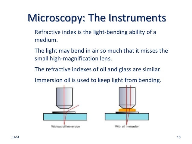 Microscopy for Microbiology: A Primer