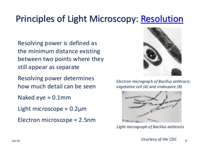 Microscopy for Microbiology: A Primer