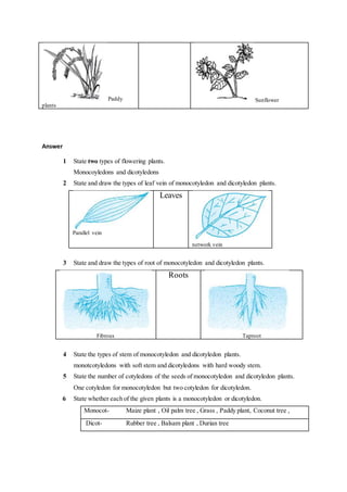 3.3 Science form 2 | DOCX