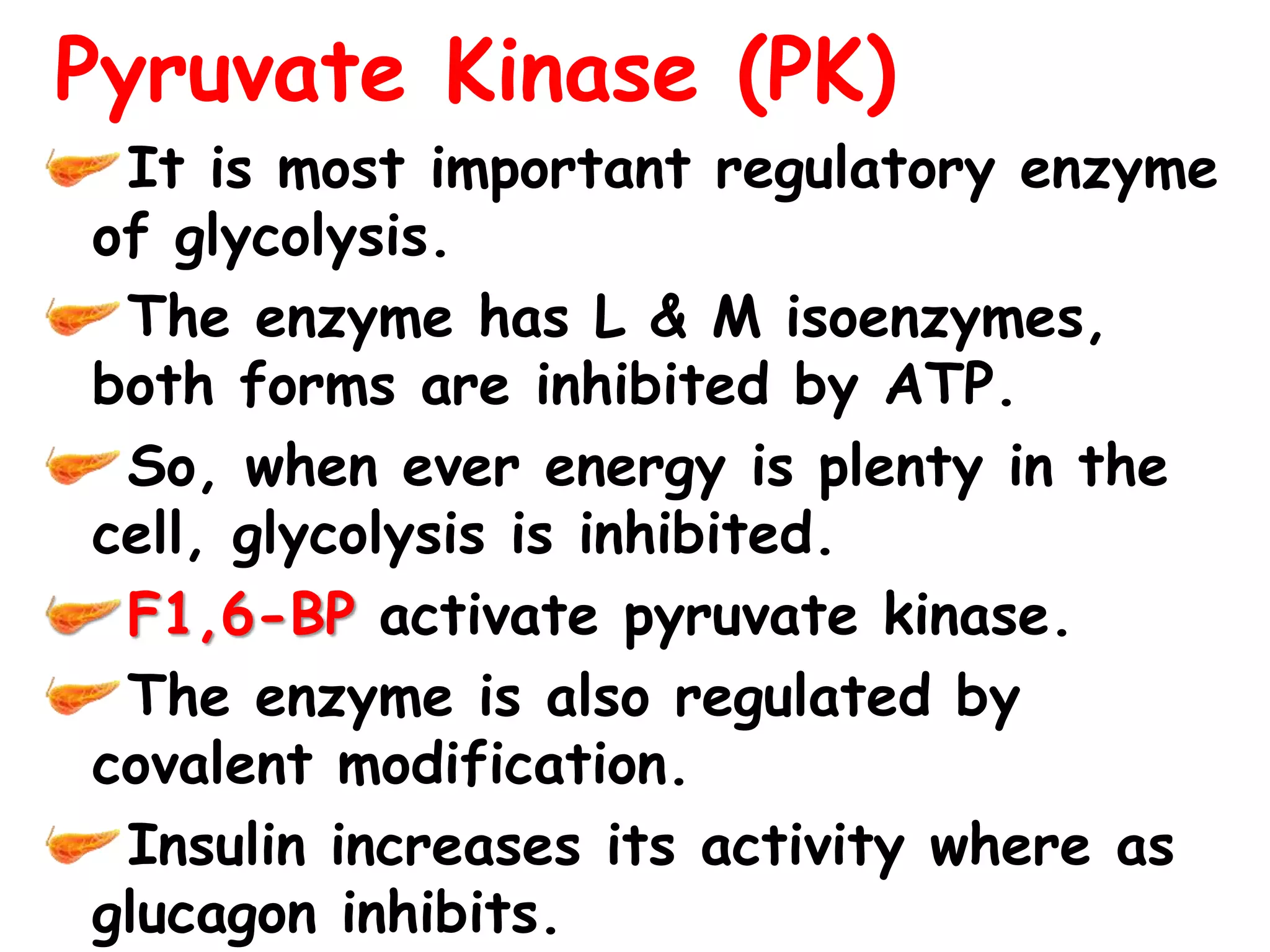 Glycolysis (with animated pathway) | PPSX