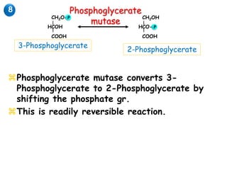 Glycolysis (with animated pathway) | PPSX