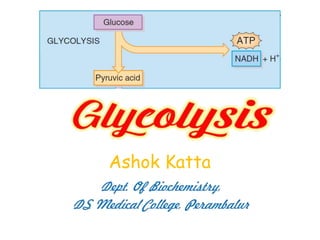 Gluconeogenesis Animation