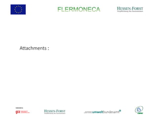3. The FLEG component of FLERMONECA | PPTX
