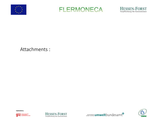 3. The FLEG component of FLERMONECA | PPTX