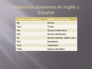 Adjetivos posesivos en inglés | PPTX