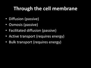 Unit 4 VCE Biology: Cell membranes &_organelles | PPT