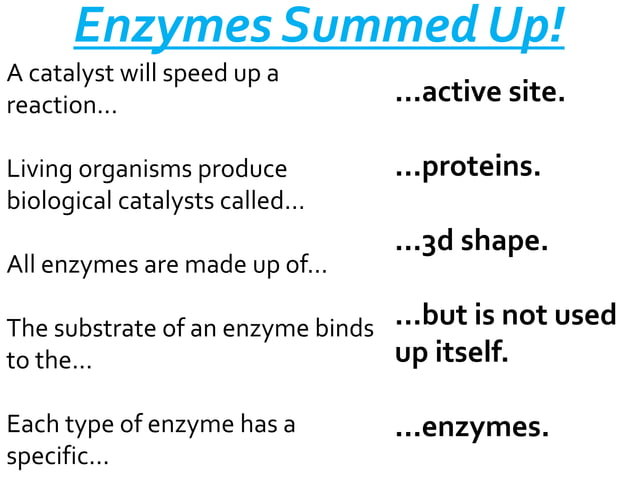 B2-3.2 factors affecting enzyme action | PPT