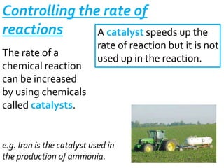 B2-3.2 factors affecting enzyme action | PPTX