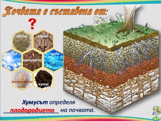 3 Почва ЧП 4 клас Булвест