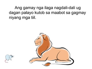 Ang Lion ug ang Ilaga | PPTX