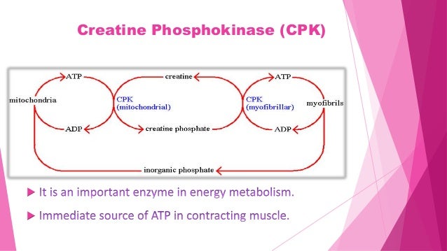 ISOENZYMES & CLINICAL ENZYMOLOGY
