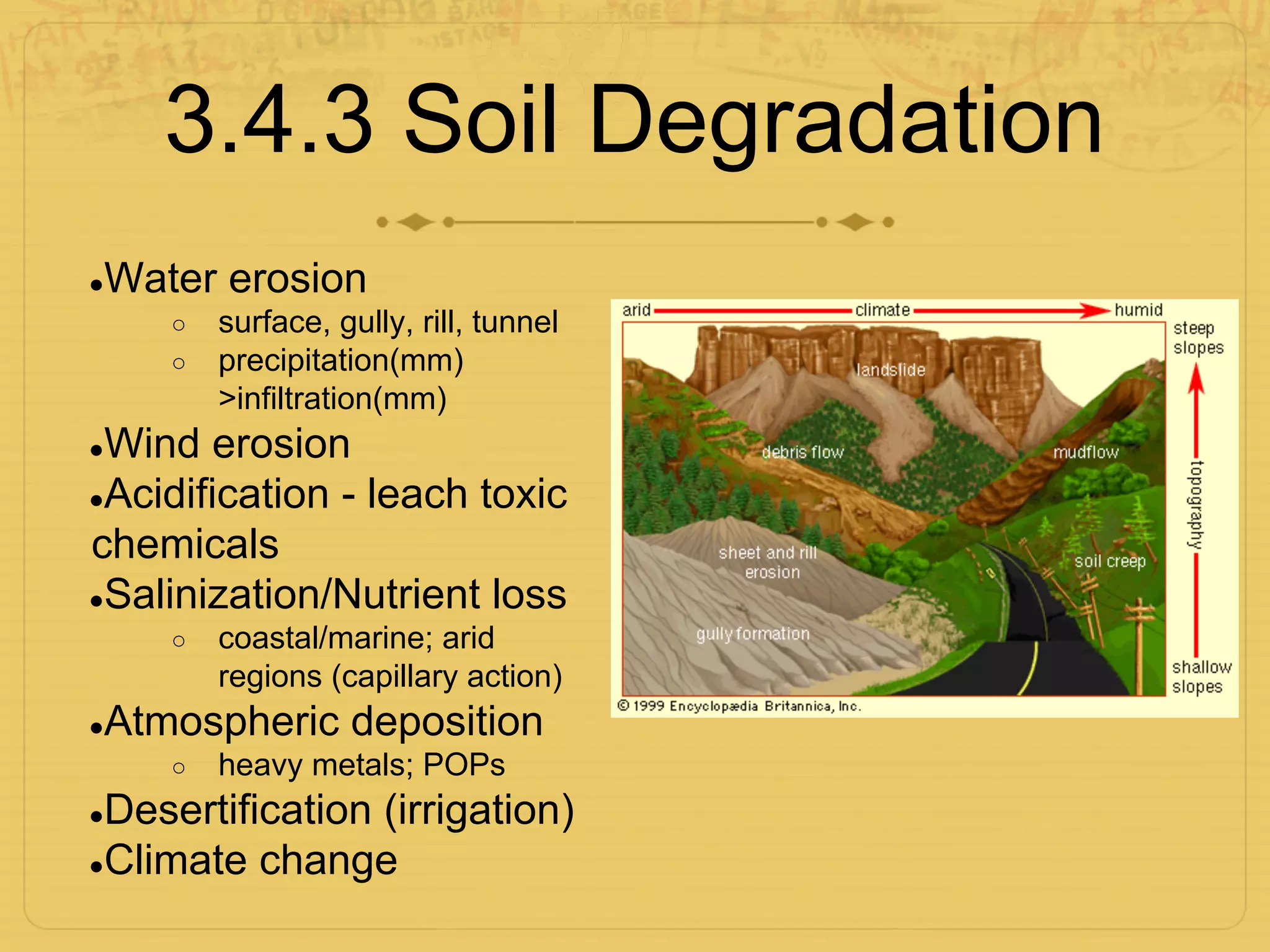 3.4 the soil system.ppt