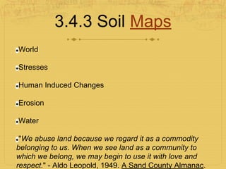 3.4 the soil system.ppt