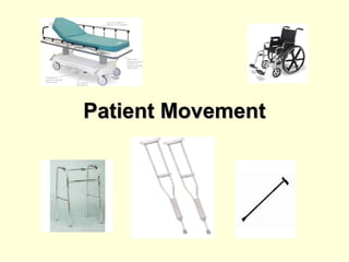 3.01 Patient Movement | PPT