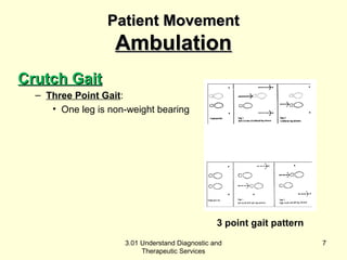3.01 Patient Movement | PPT