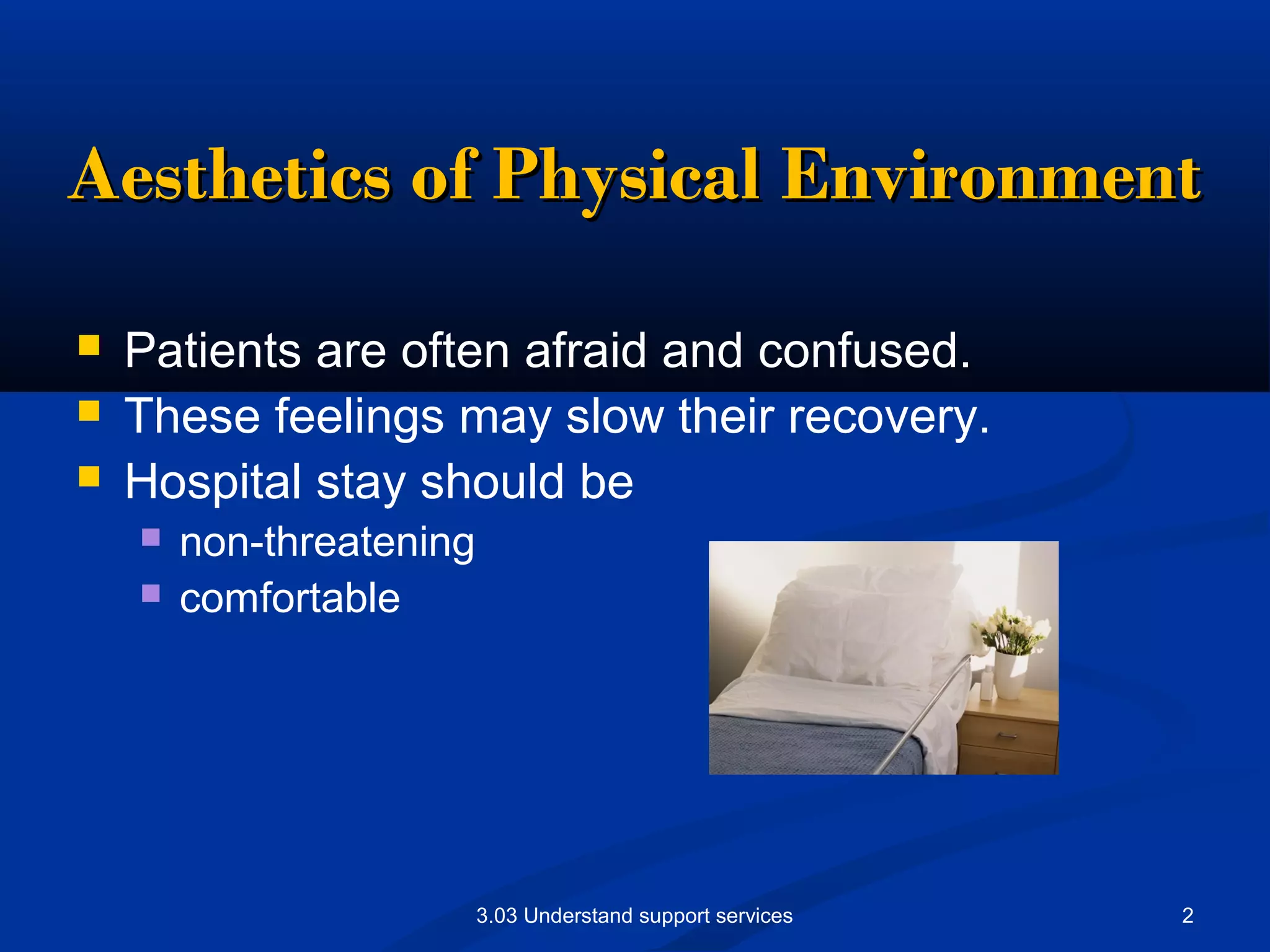 3.03 aesthetics of physical environment | PPT