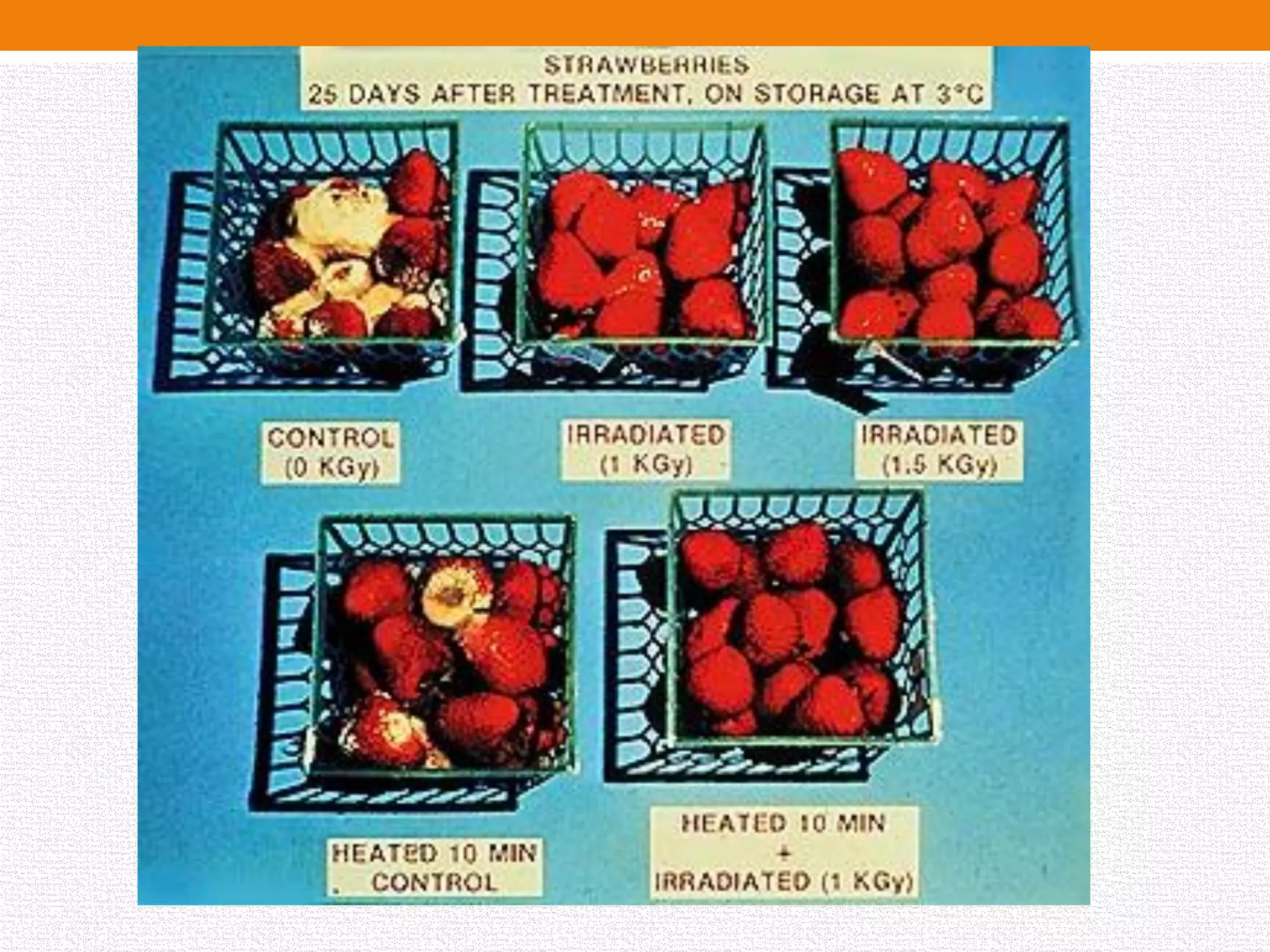 Food Irradiation | PDF