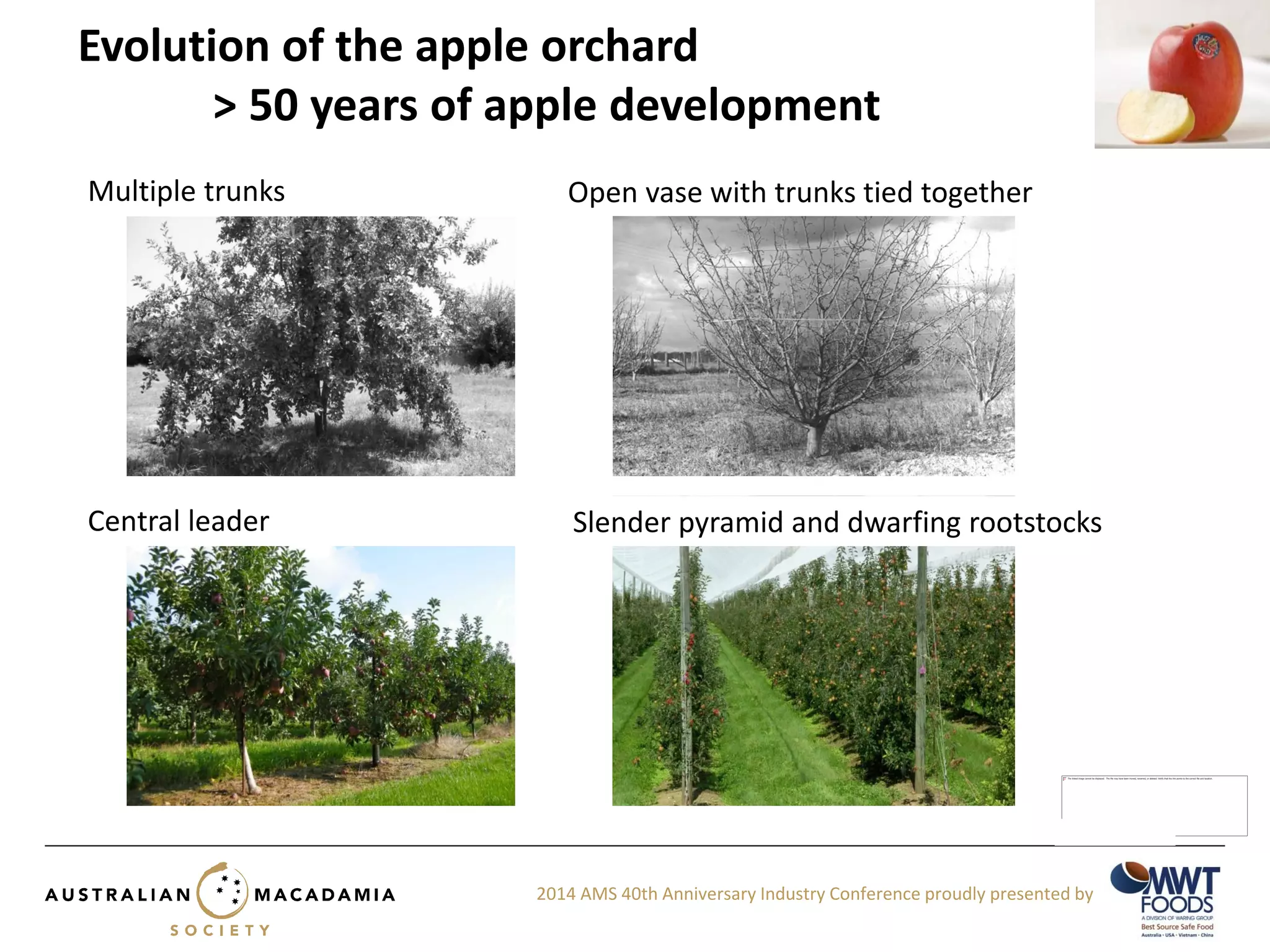 Grant Thorp - Orchard and canopy management (integrated orchard management) | PDF