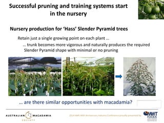 Grant Thorp - Orchard and canopy management (integrated orchard ...