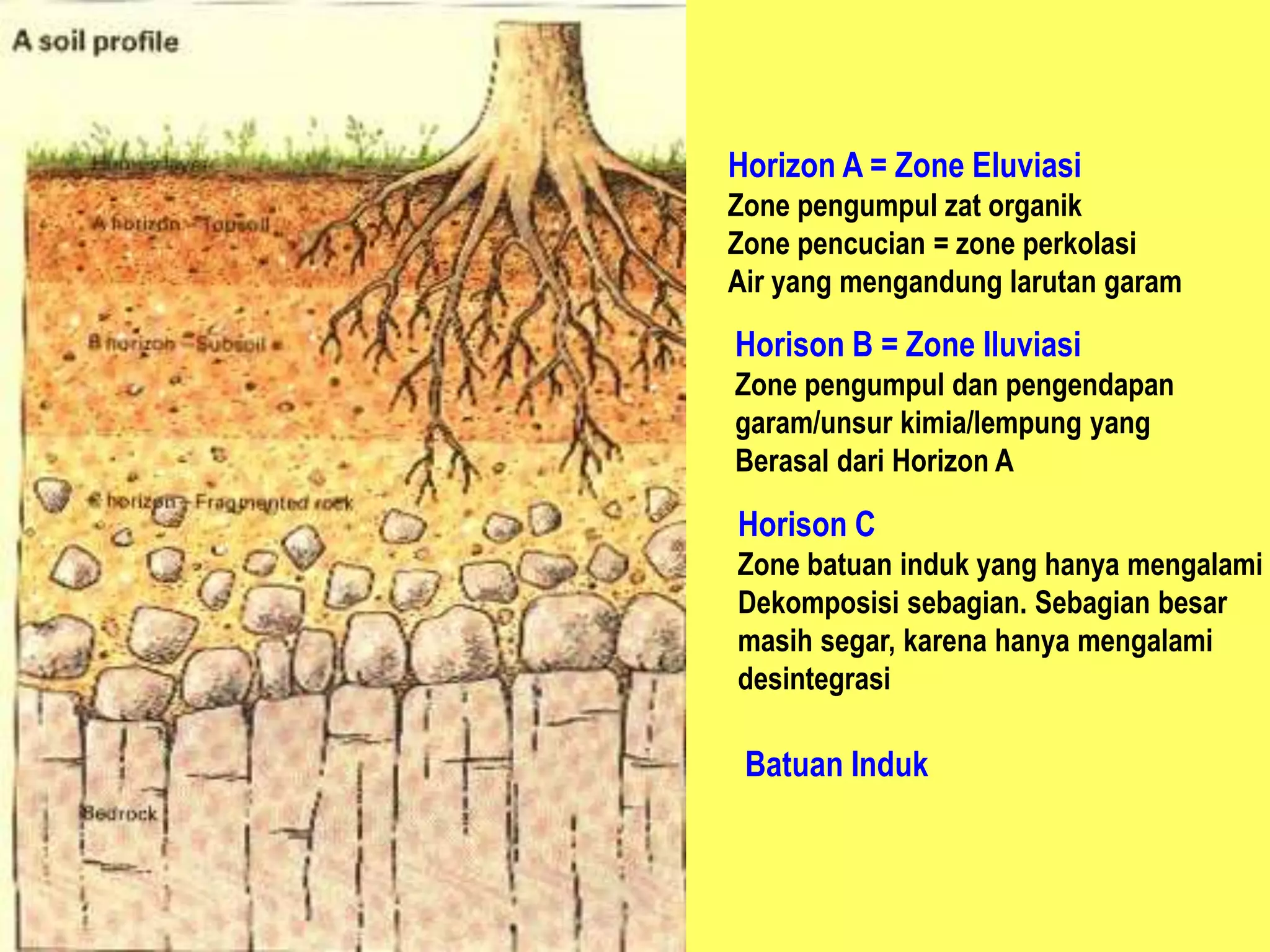 3. proses geologi 07 | PPT