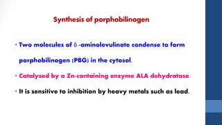 HEME SYNTHESIS | PPTX