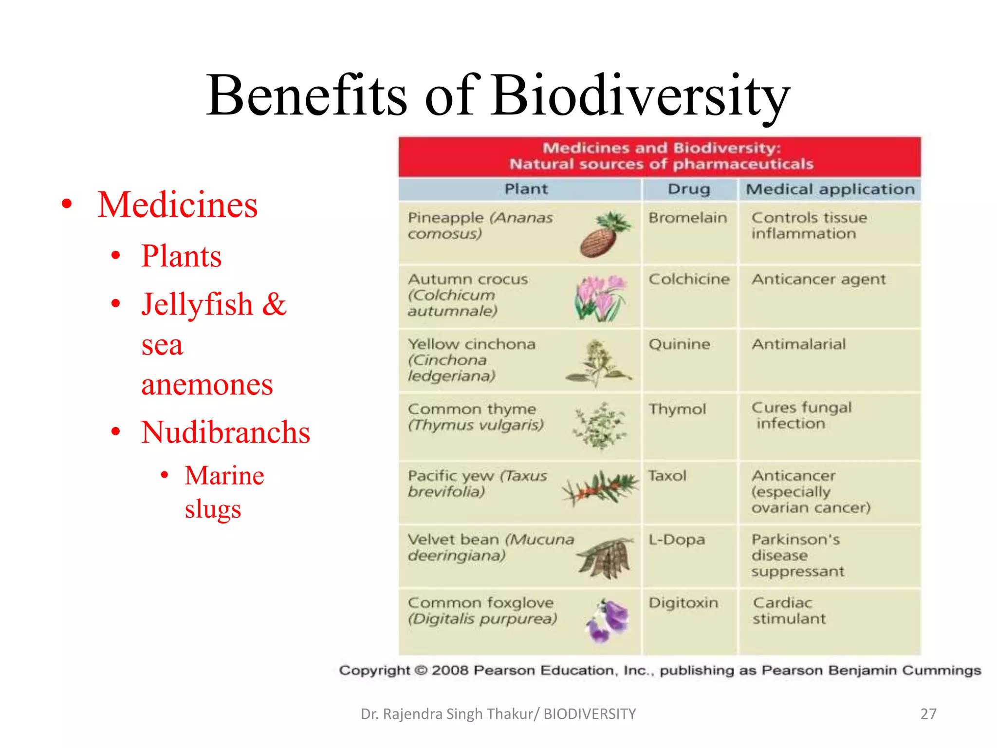 Biodiversity | PPTX