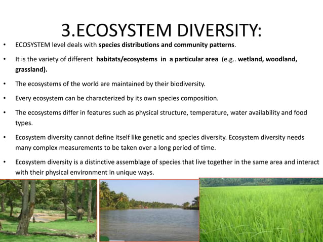 Biodiversity | PPTX | Science