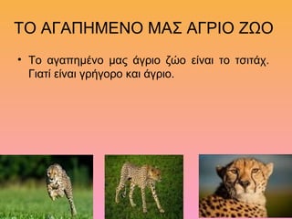 τα αγαπημενα μου πραγματα3 | PPT