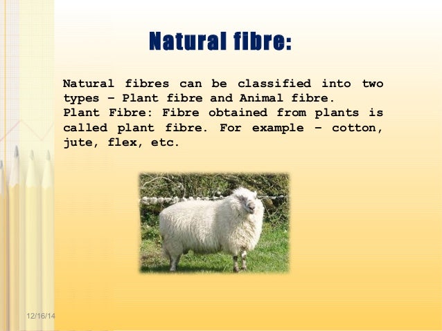 Describe Different Types Of Animal Fiber With Example – LICMM