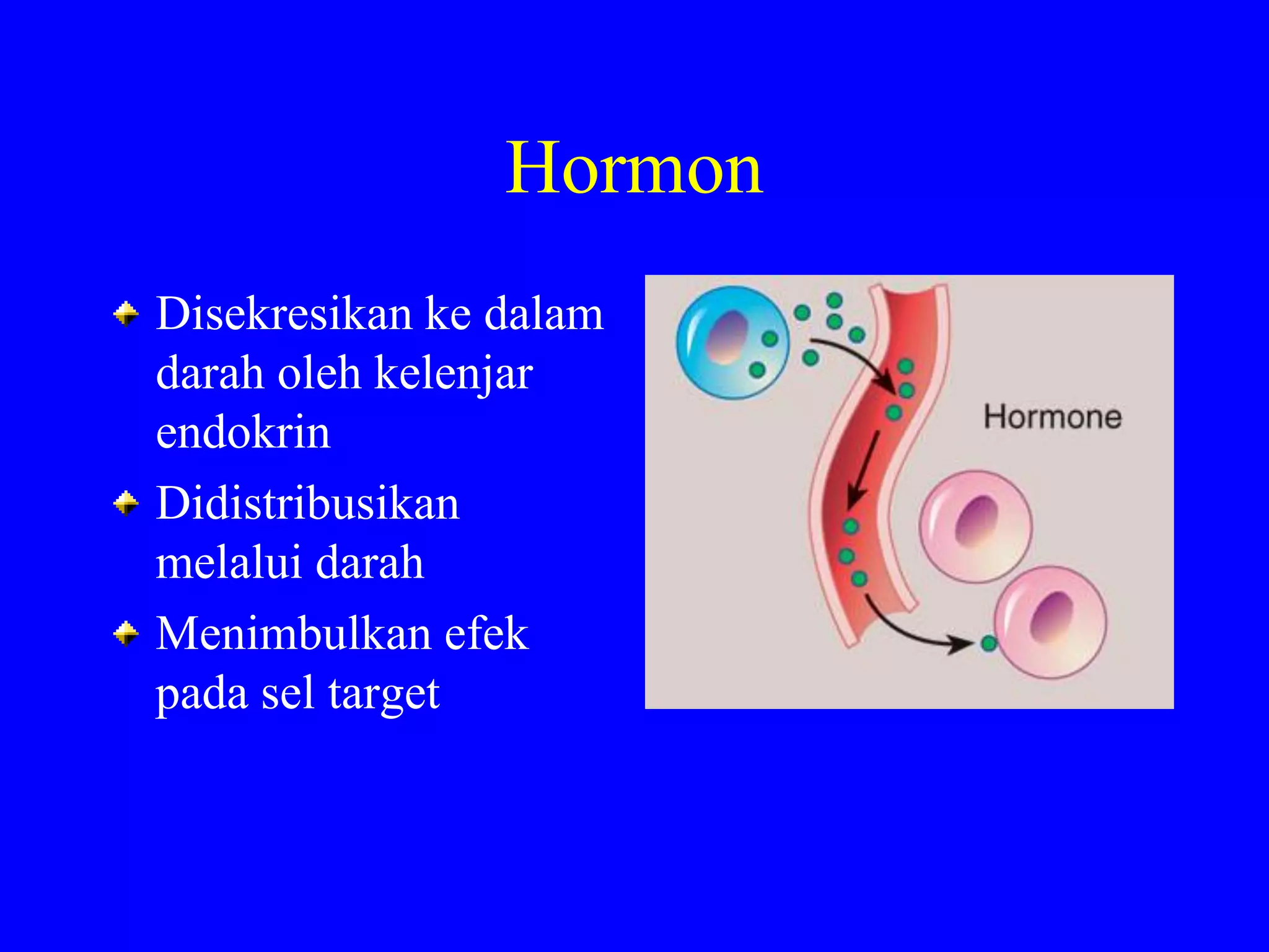 3. sistem endokrin | PDF