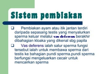 Genetik yang mempengaruhi ternakan | PPT