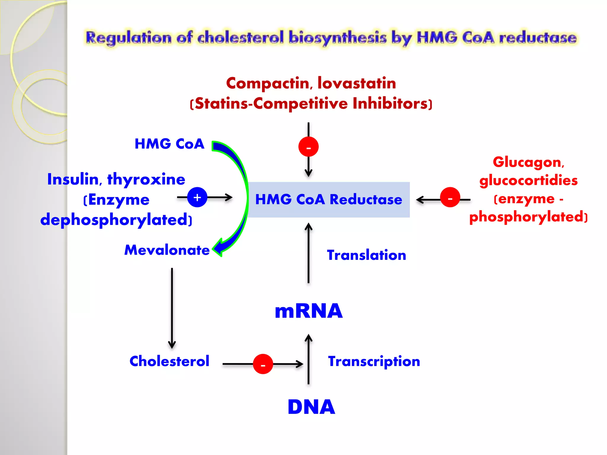 CHOLESTEROL BIOSYNTHESIS | PPTX