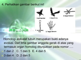 3. petunjuk evolusi | PPT