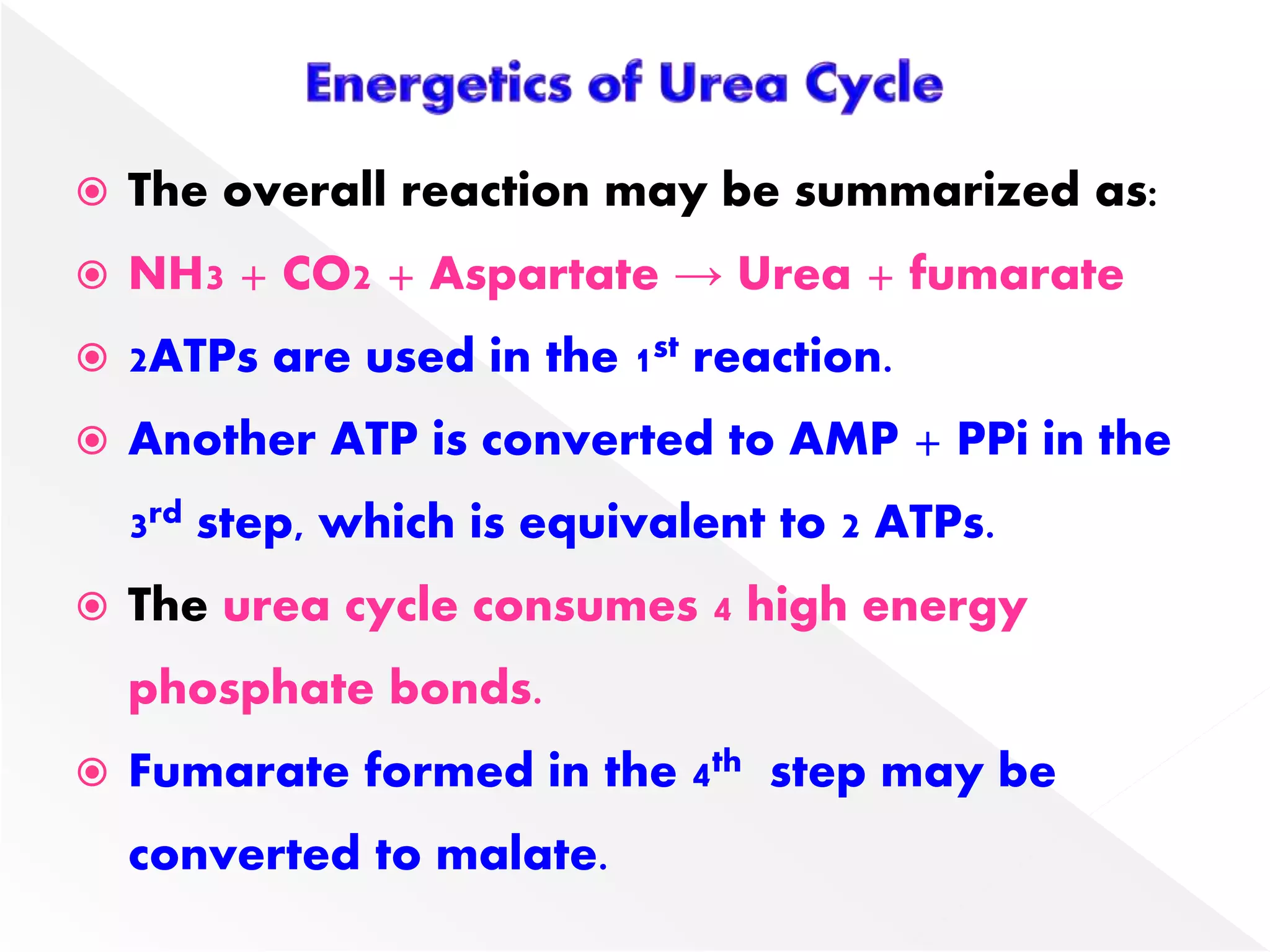 UREA CYCLE | PPTX