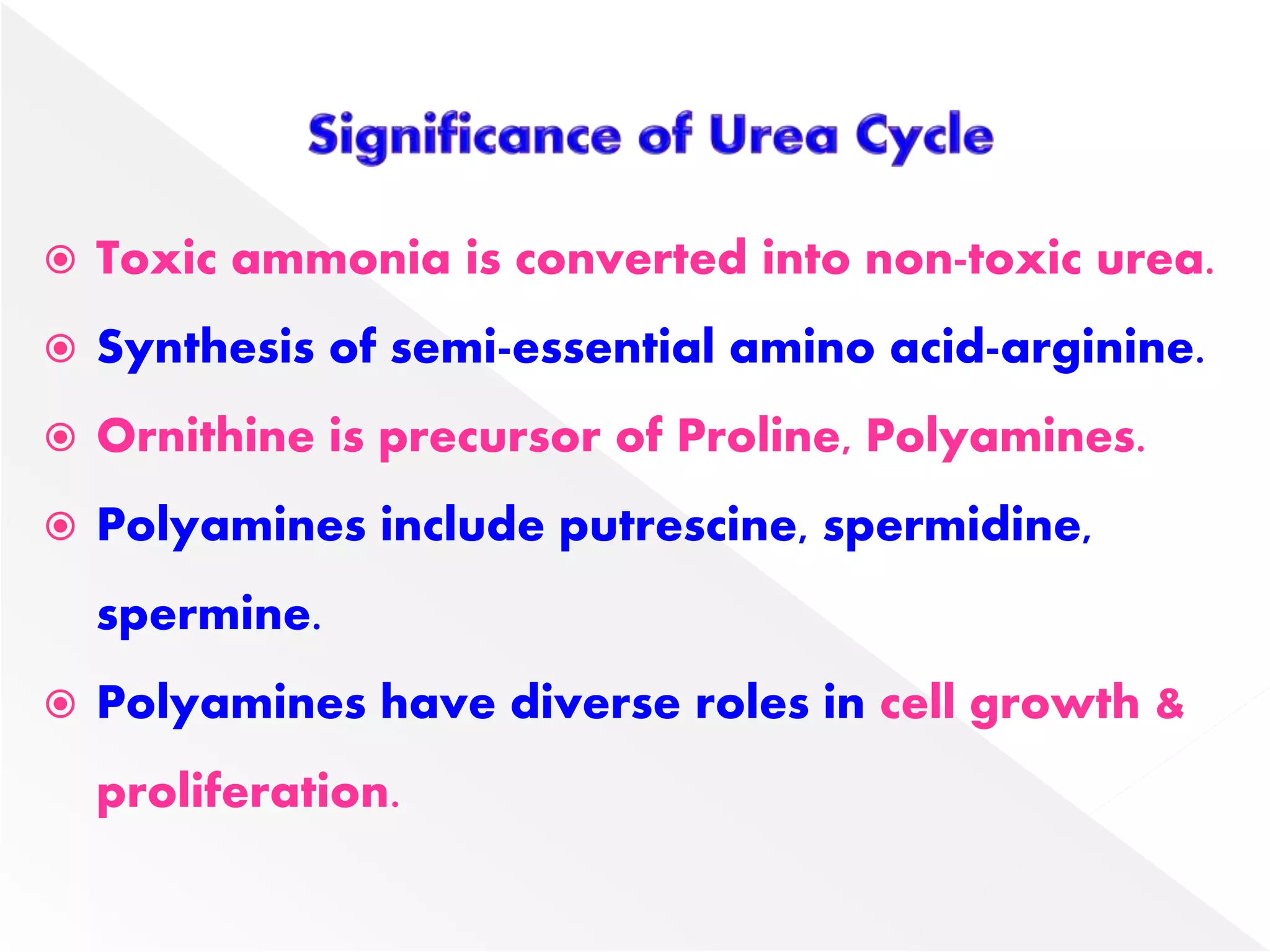 UREA CYCLE | PPTX