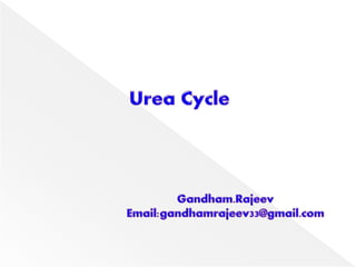 UREA CYCLE | PPTX