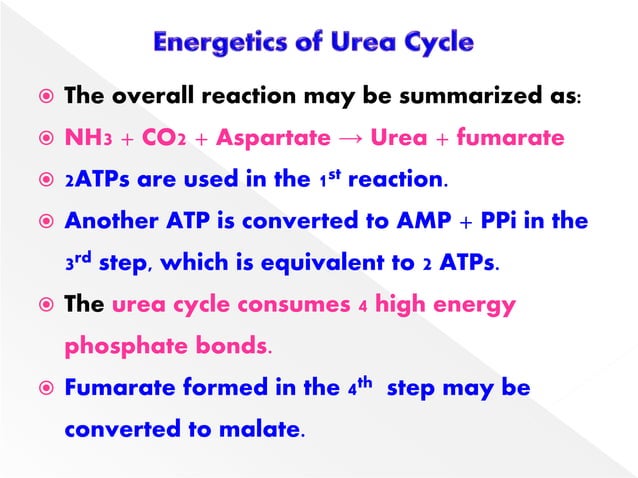 UREA CYCLE | PPTX