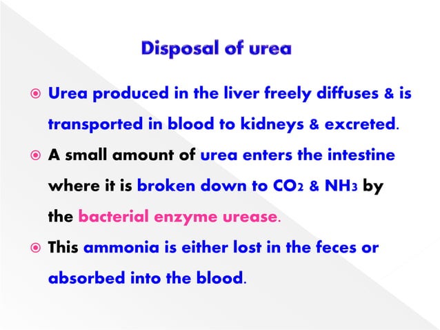 UREA CYCLE | PPTX
