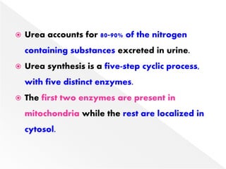UREA CYCLE | PPTX