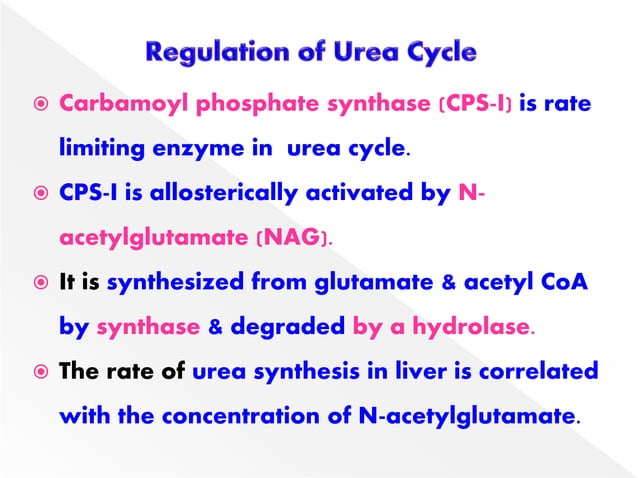 UREA CYCLE