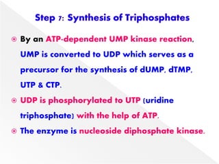 PYRIMIDINE SYNTHESIS | PPTX