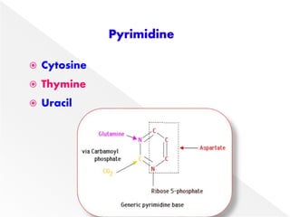 Pyrimidine